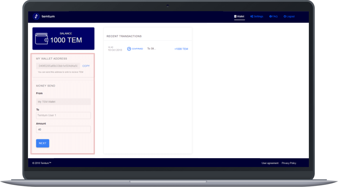 Case Study: Temtum - EffectiveSoft