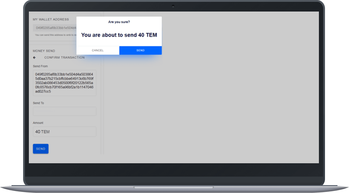 Case Study: Temtum - EffectiveSoft