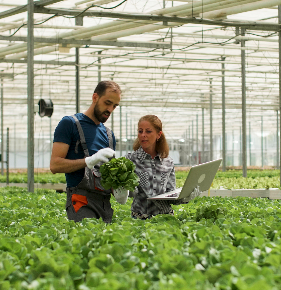 Agriculture Software Development - EffectiveSoft