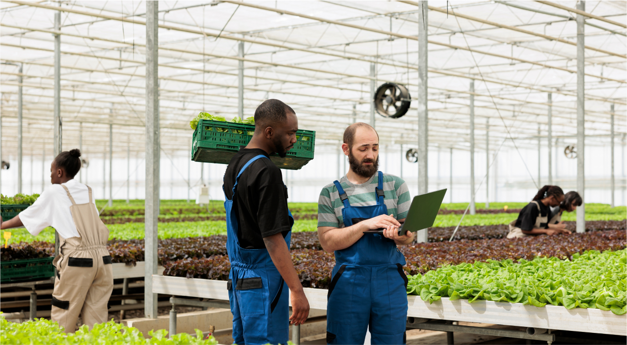 Agriculture Software Development - EffectiveSoft