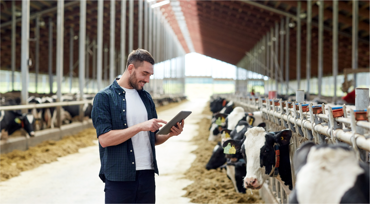 Agriculture Software Development - EffectiveSoft