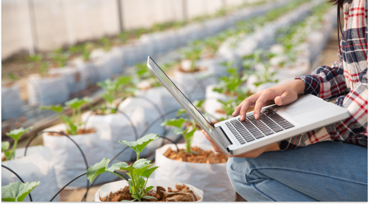 Agriculture Software Development - EffectiveSoft