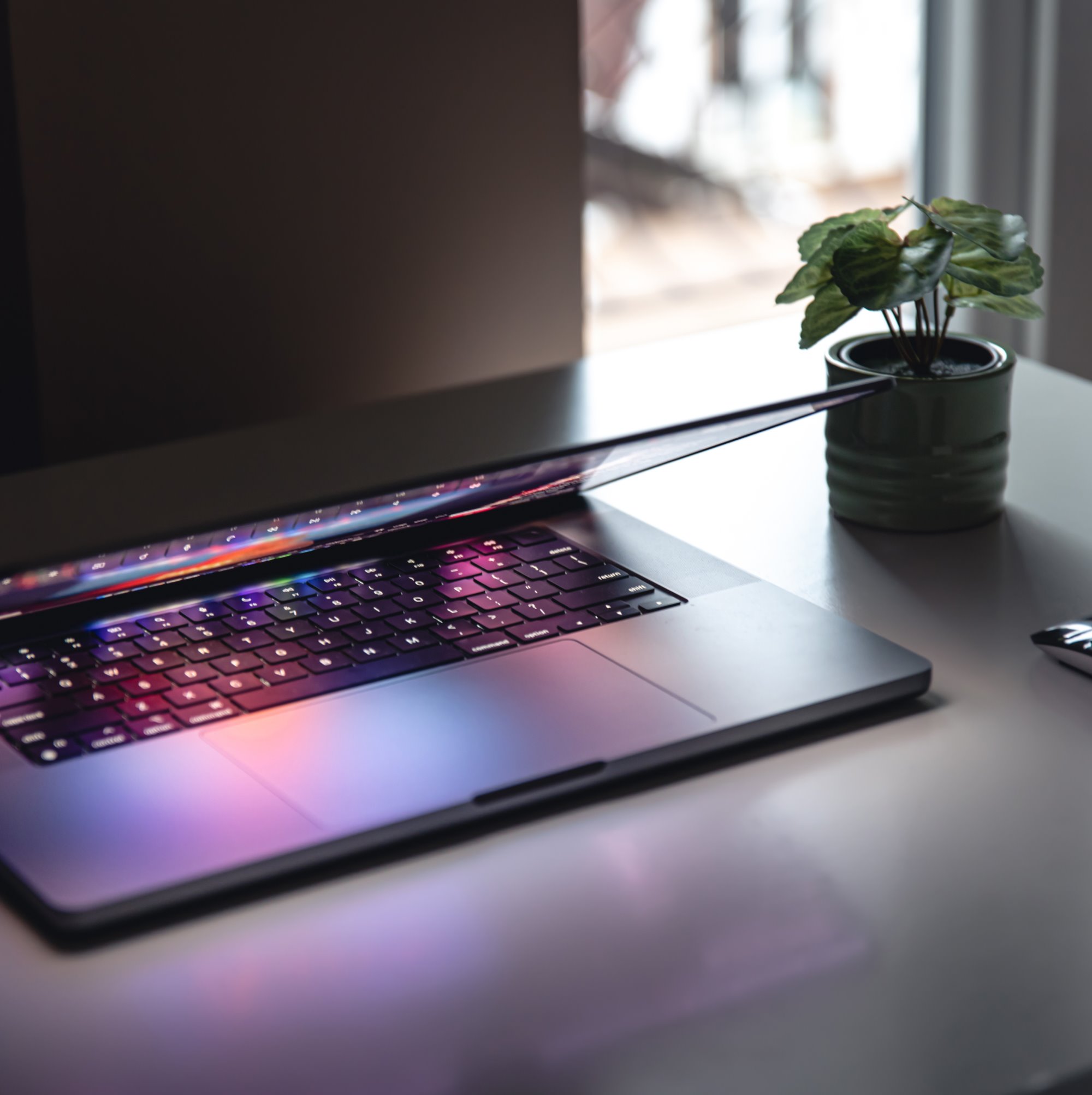 Microsoft Silverlight Development Company